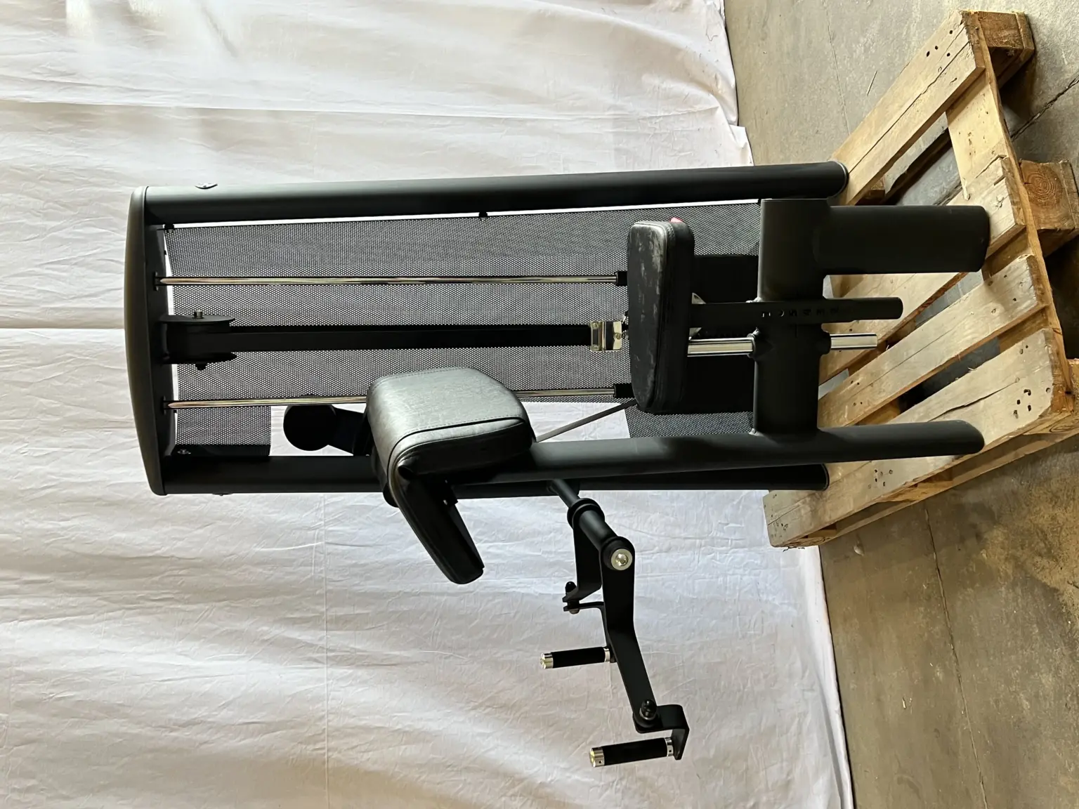 gym80 Standard Biceps Curl - Demo - find den billigste pris online =>